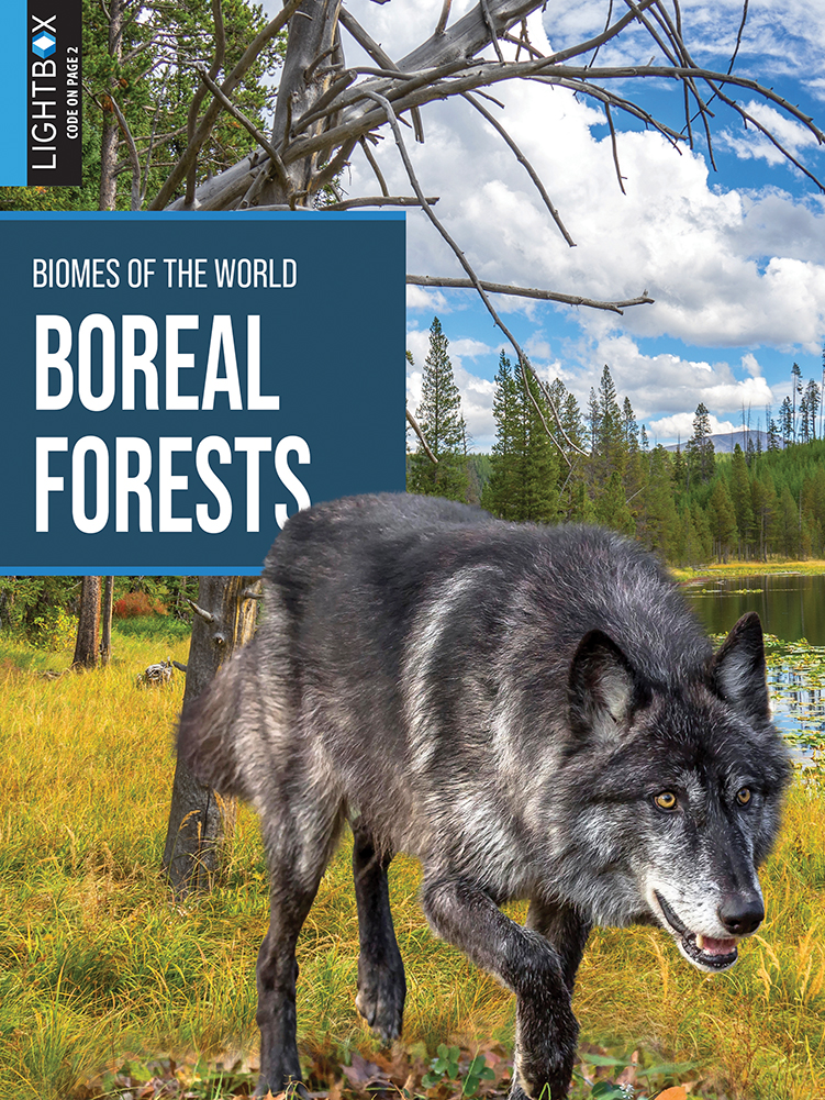 Biomes of the World: Boreal Forests | Good Reading