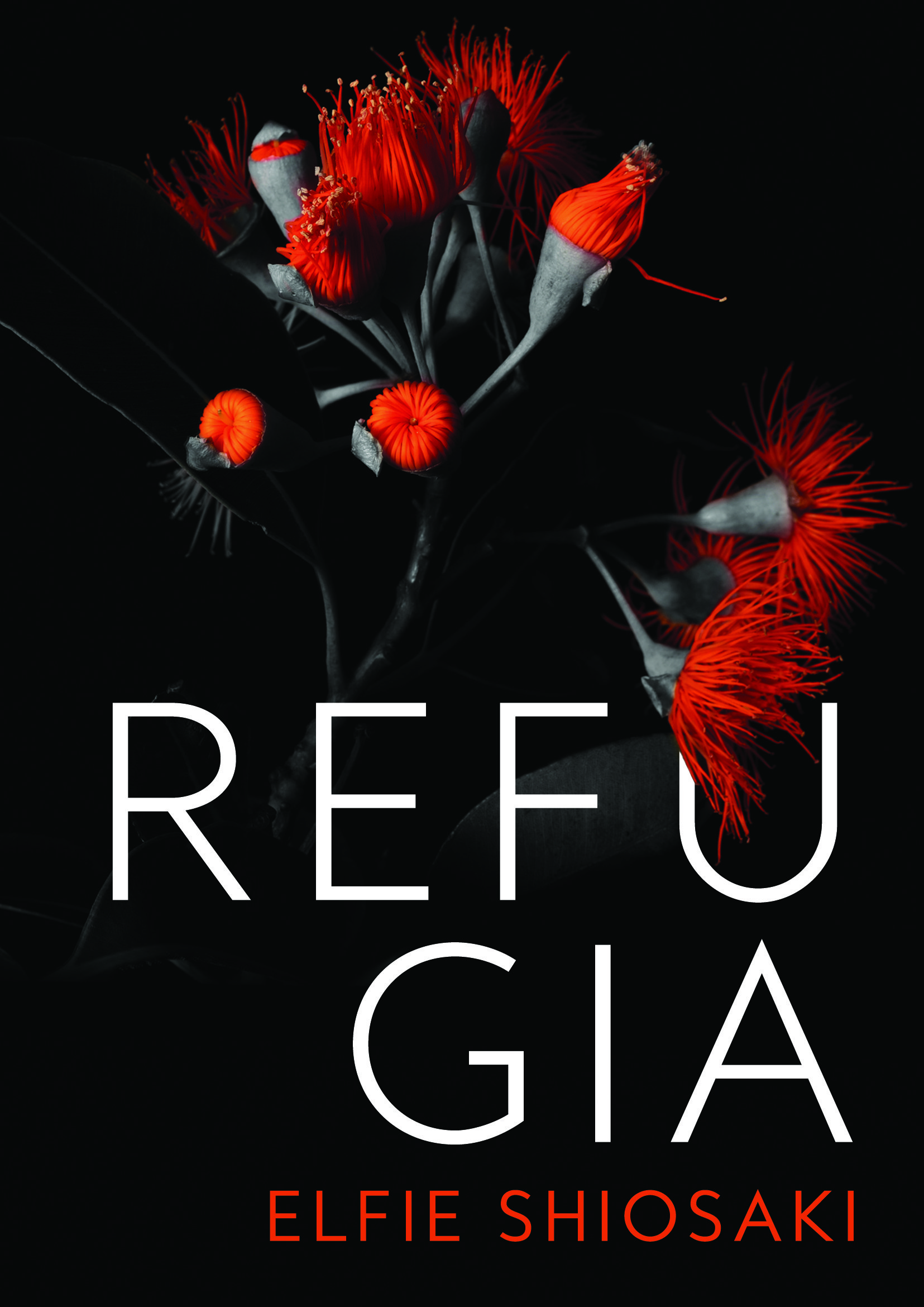 Elfie Shiosaki on resilience in her poetry collection, Refugia | Good ...