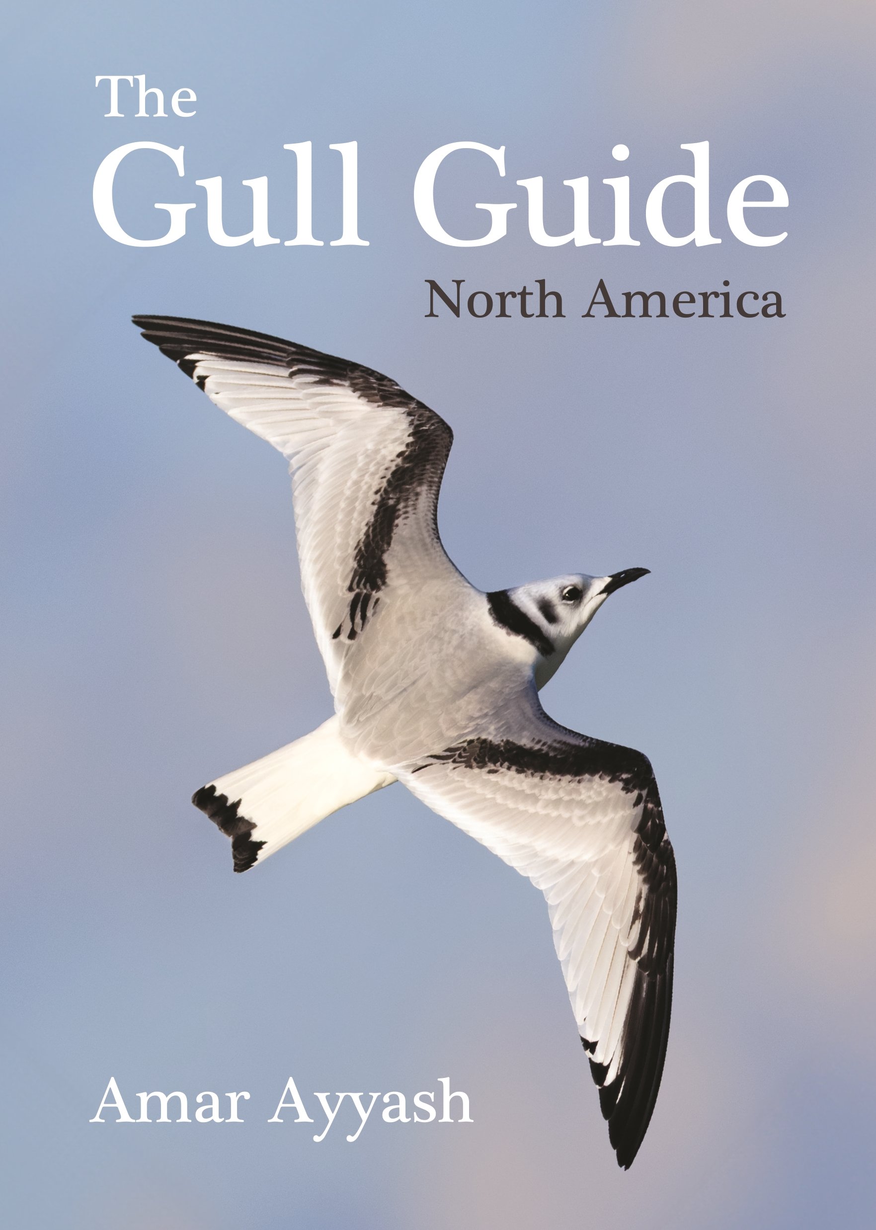 The Gull Guide - Good Reading Magazine