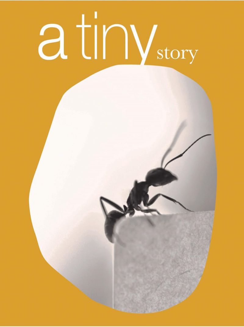 Fernando Maquieira: A Tiny Story | Good Reading