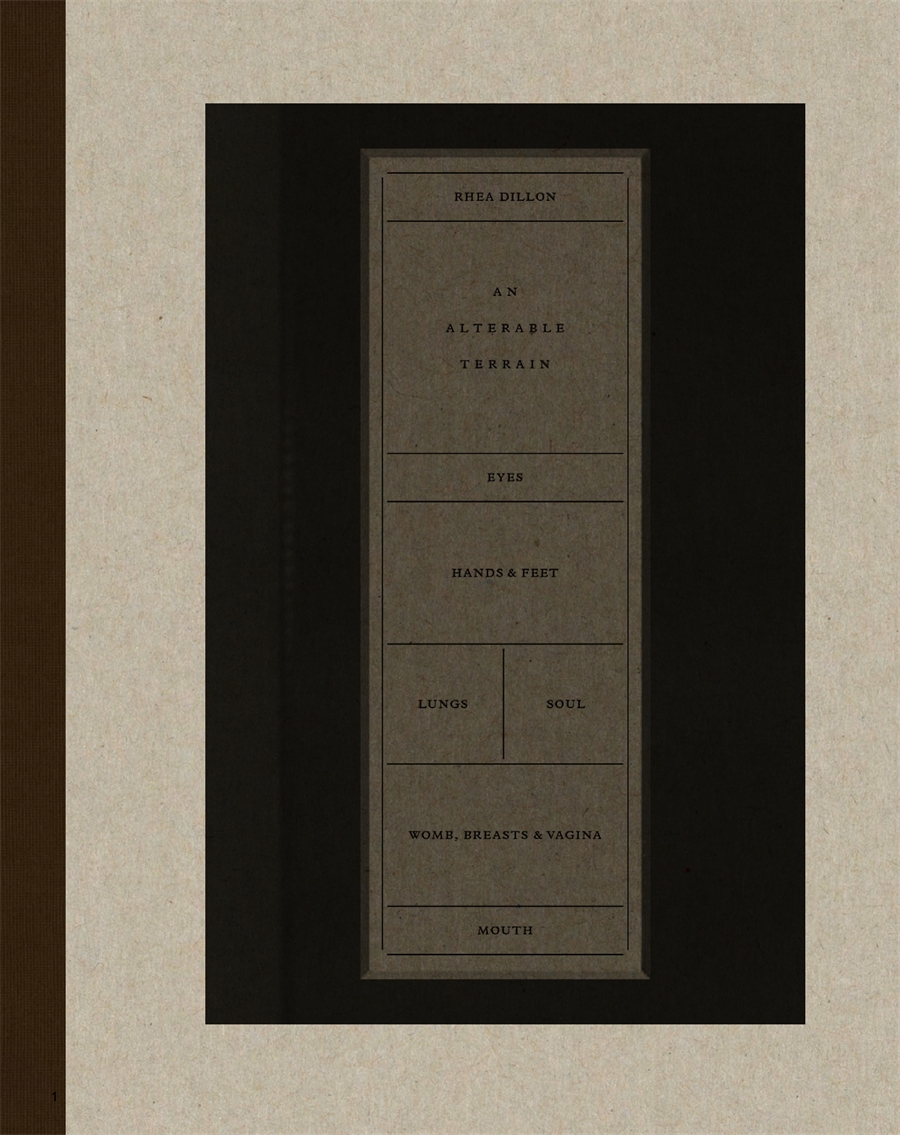 Rhea Dillon: An Alterable Terrain | Good Reading Rhea Dillon: An Alterable Terrain | Good Reading